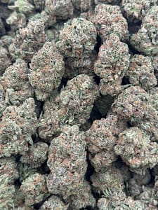Strawberry Shortcake HHC Flower - Wholesale HHC Buds