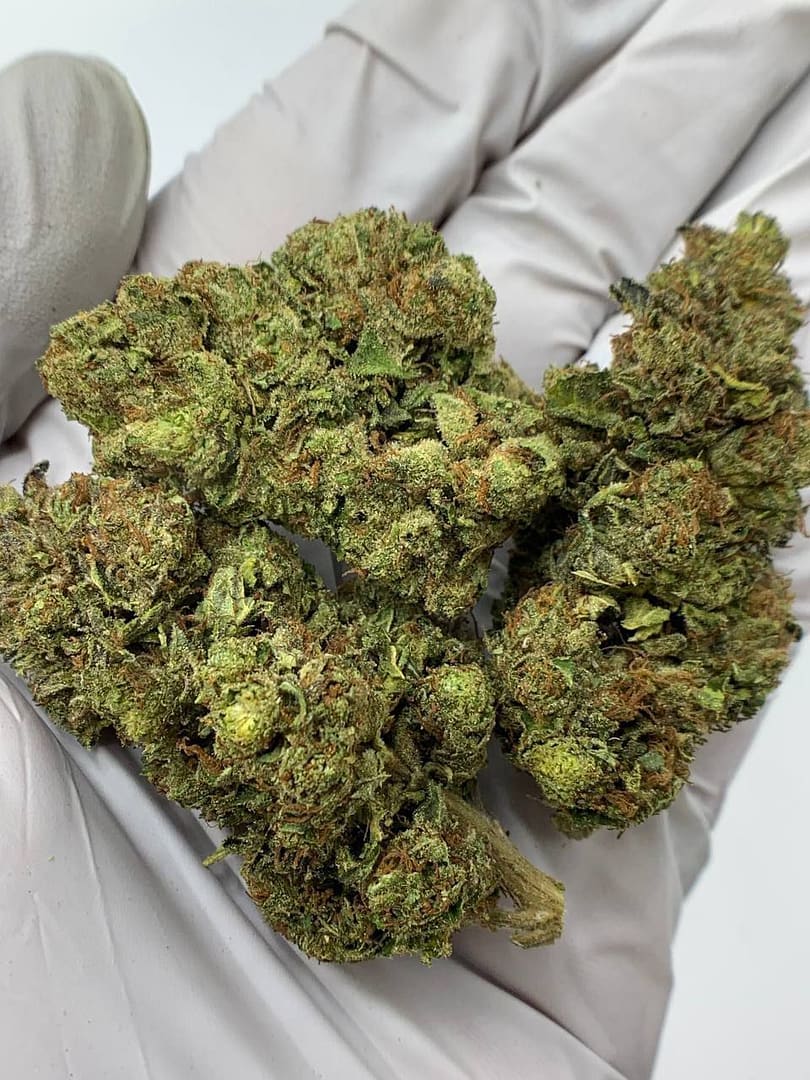 Rainbow Sherbet THCa Flower - Wholesale Cannabis for Sale